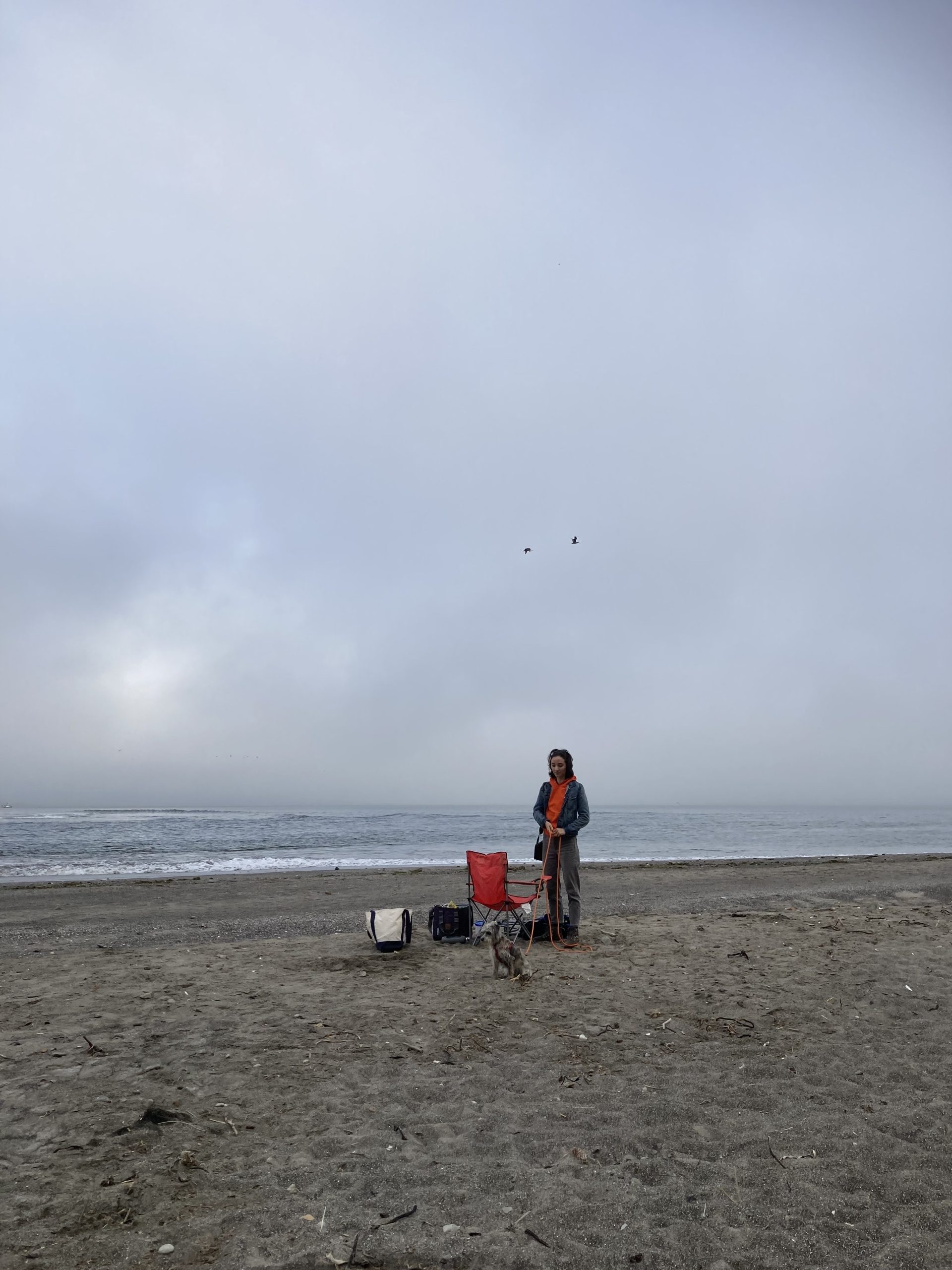 Meet the Dancer: Carly Wheaton // Oregon Ballet Theatre – En Face Magazine